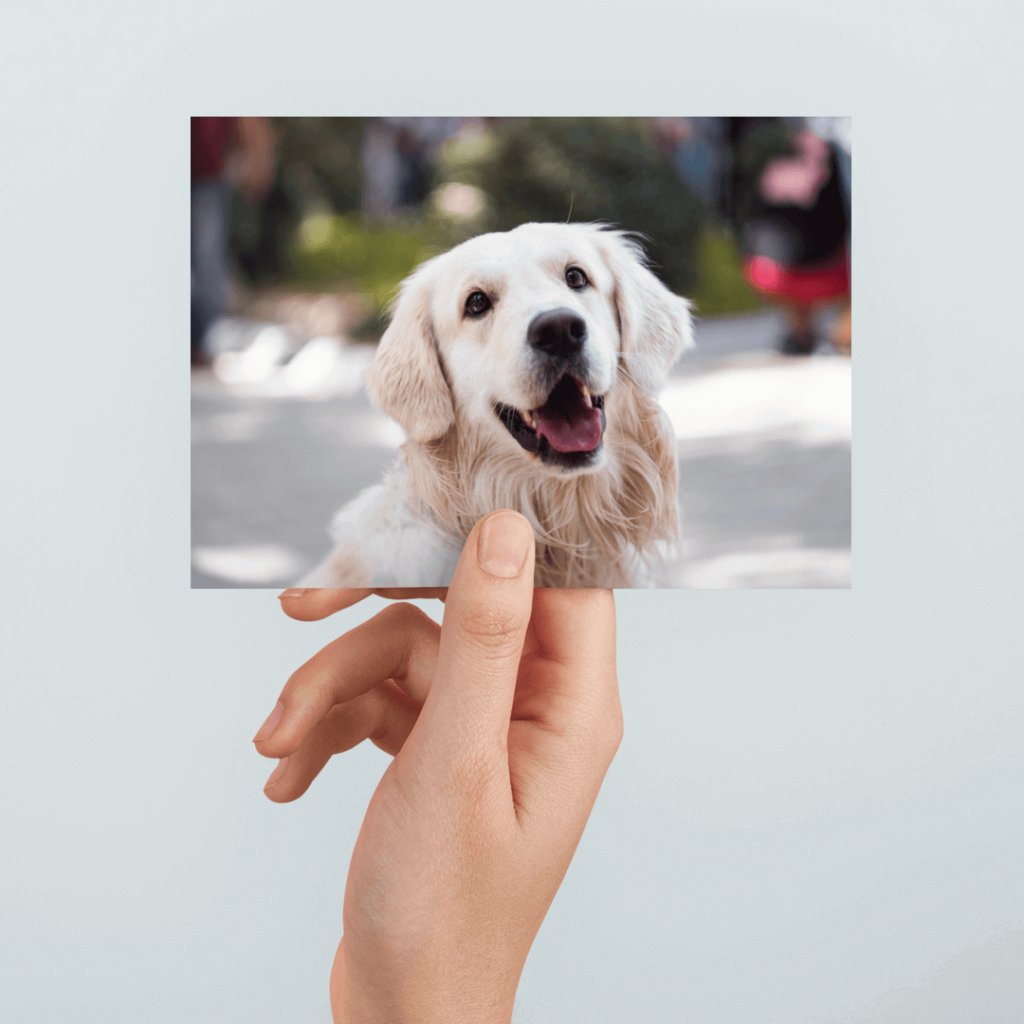 Magnet Personalizat cu o poză - Landscape 10x15cm - PrintBox